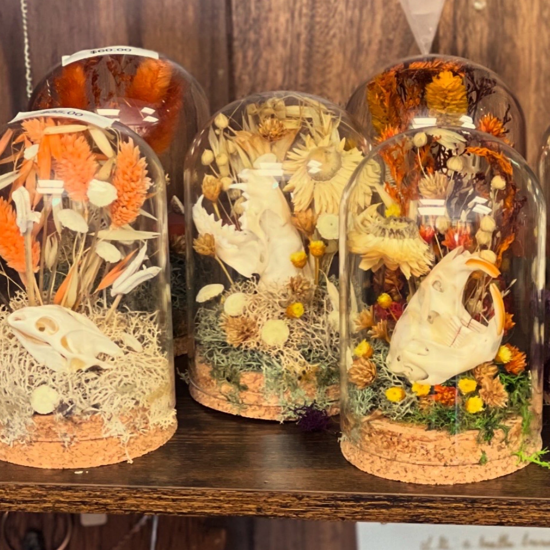 Mini Terrariums | Moon Craft Works