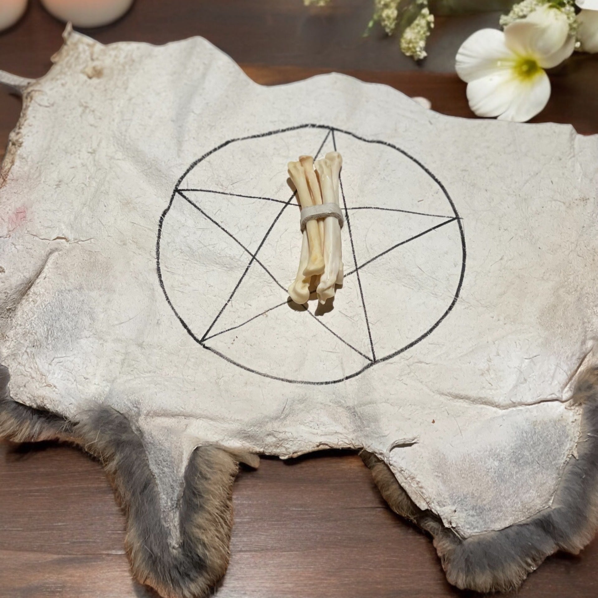 Pentacle Bone Throwing Set | Moon Craft Works